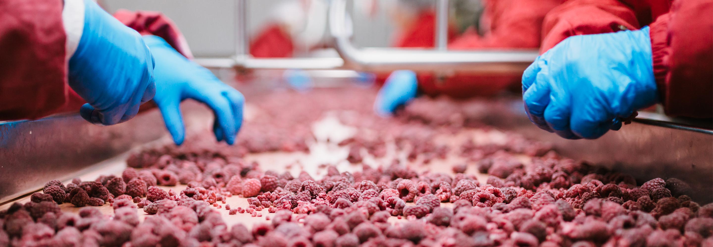 Marketing and quality systems for food & beverages companies